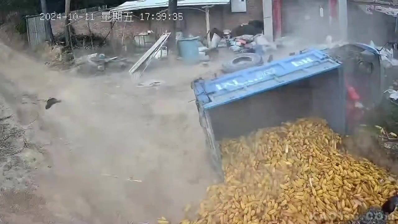 Itâ€™s All About Corn